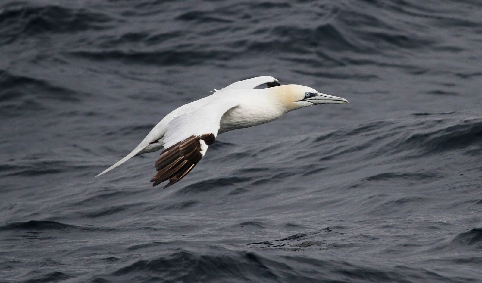 anderyomismo: octubre 2015