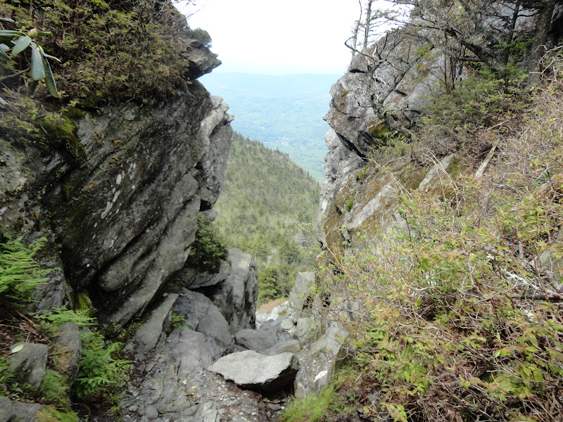 greenmon's folly: May 19 Grandfather Mtn Profile trail