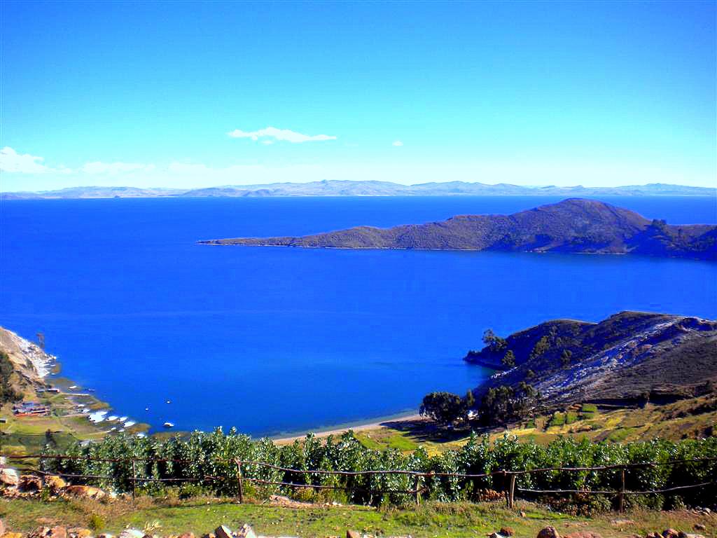 Animales y Plantas de Perú: El Lago Titicaca que Comparten Bolivia y ...