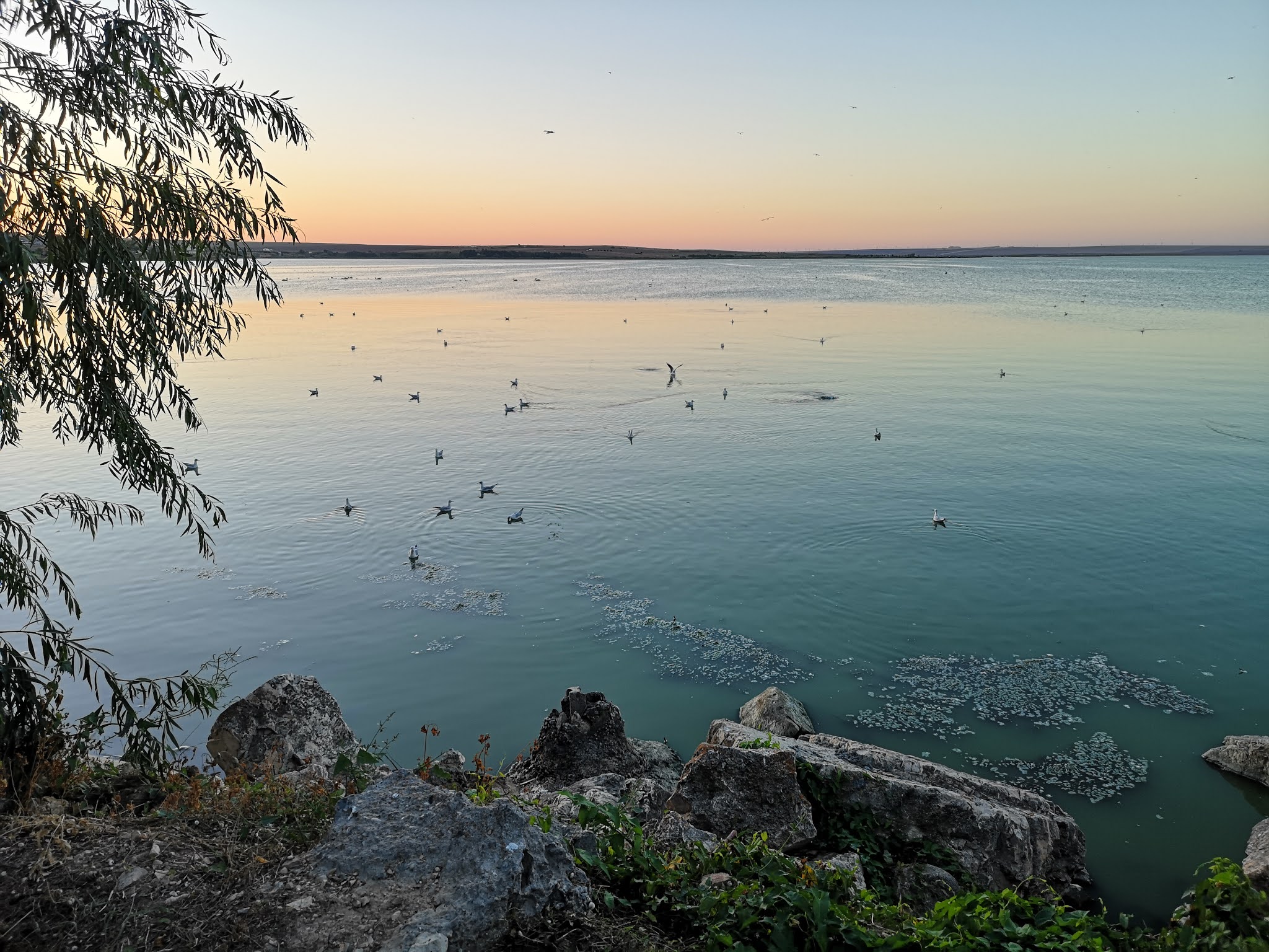 Dobrogea - Plaja Capul Midia