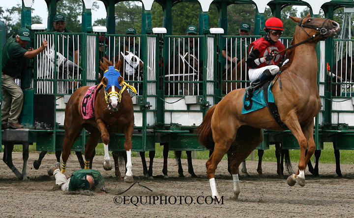 Thoroughbred Daily News Staff Blog: Thewifedoesntknow's Training Blog ...