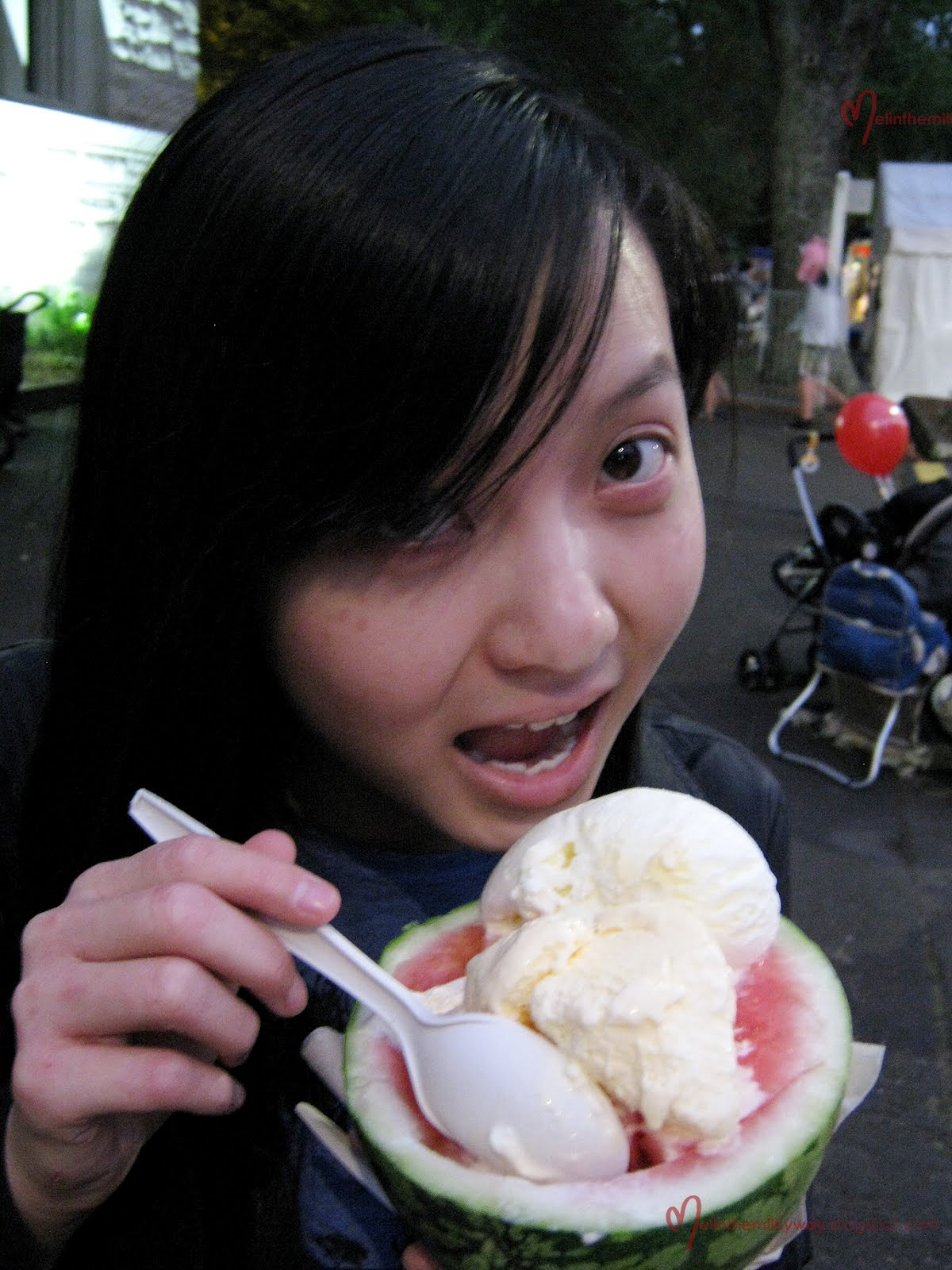 A guide to Auckland's Lantern Festival - mel in the milkyway