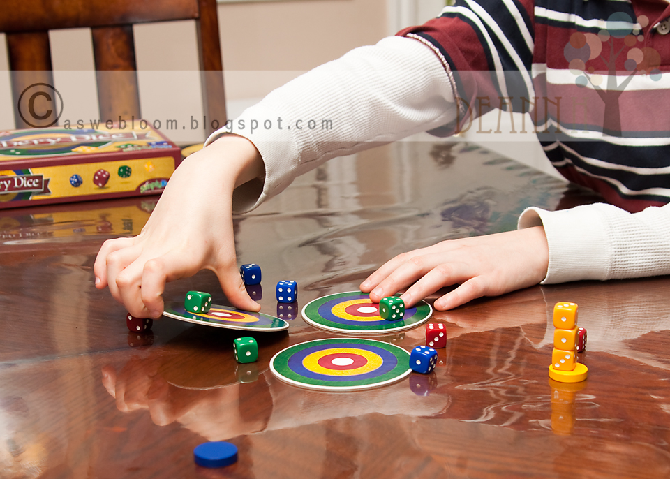 As We Bloom: Archery Dice by SimplyFun Review