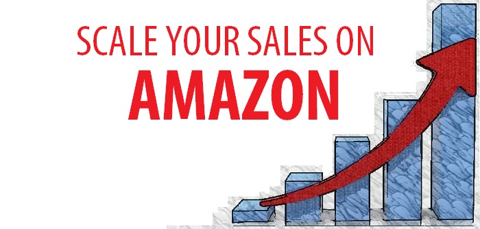 Scale Your Sales On Amazon - Sales Skills And Techniques