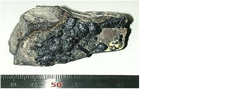 SETIA GRAHA: Uranium