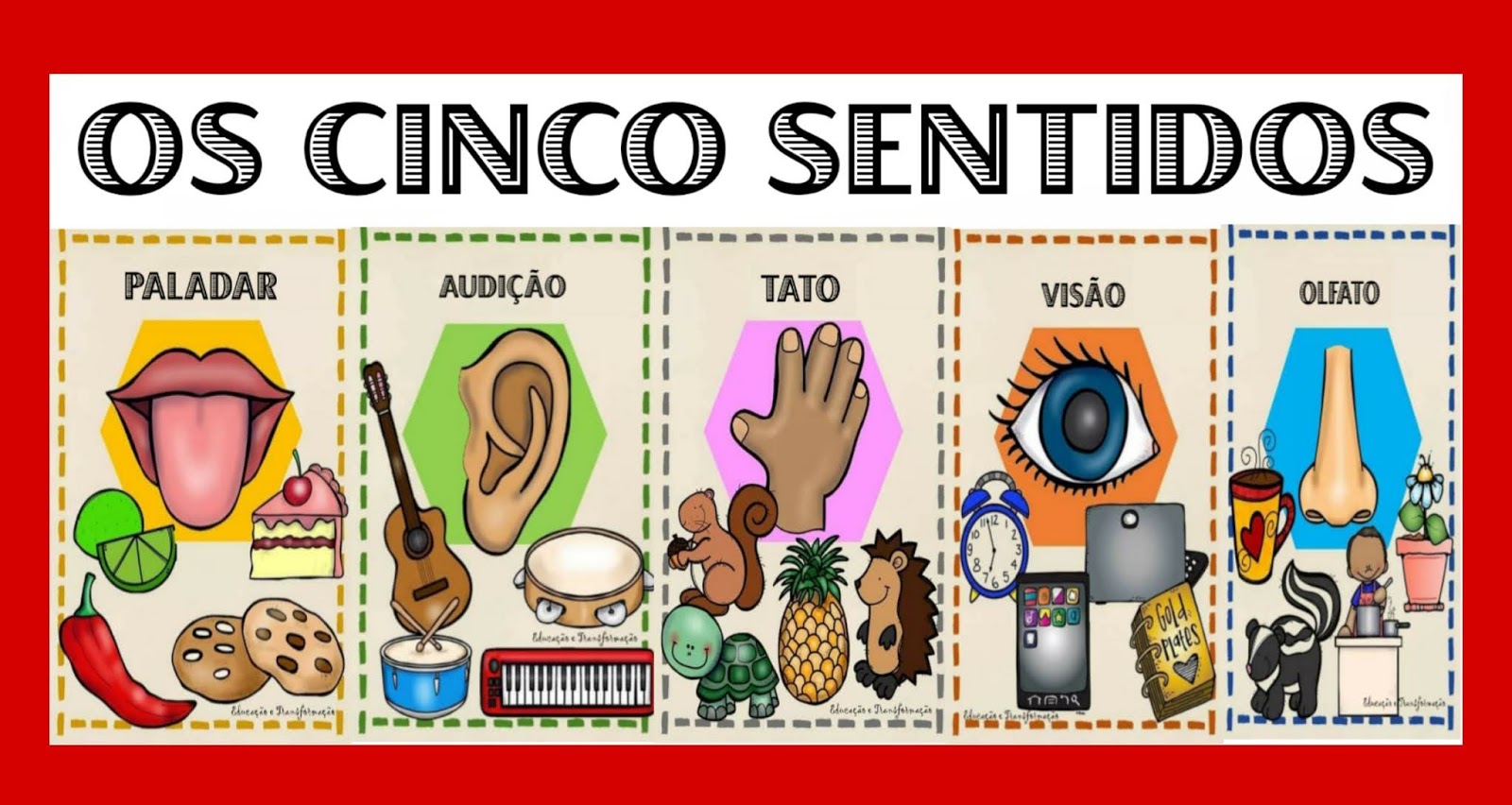 Cinco Sentidos