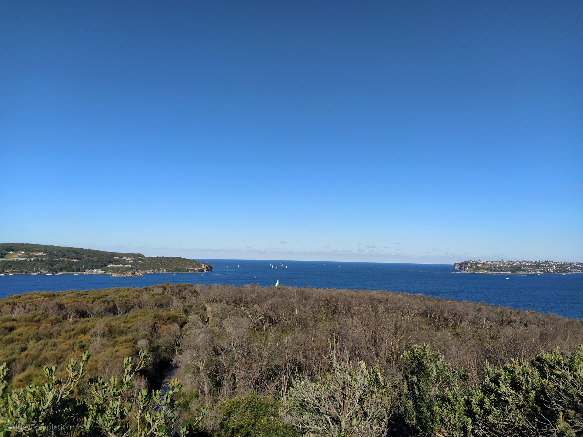 Highs and Lows: Balgowlah Heights and Balgowlah - Completing Sydney