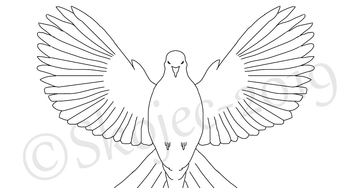 Art Class Ideas: Draw a Dove