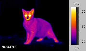 ¿Qué es el Infrarrojo?: los rayos infrarrojo en imagenes