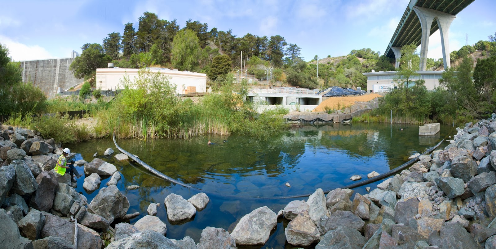 Sawyer Camp Trail: Behind the Scenes in Front of Lower Crystal Springs Dam