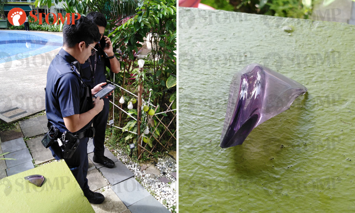 Under The Angsana Tree: KILLER LITTER