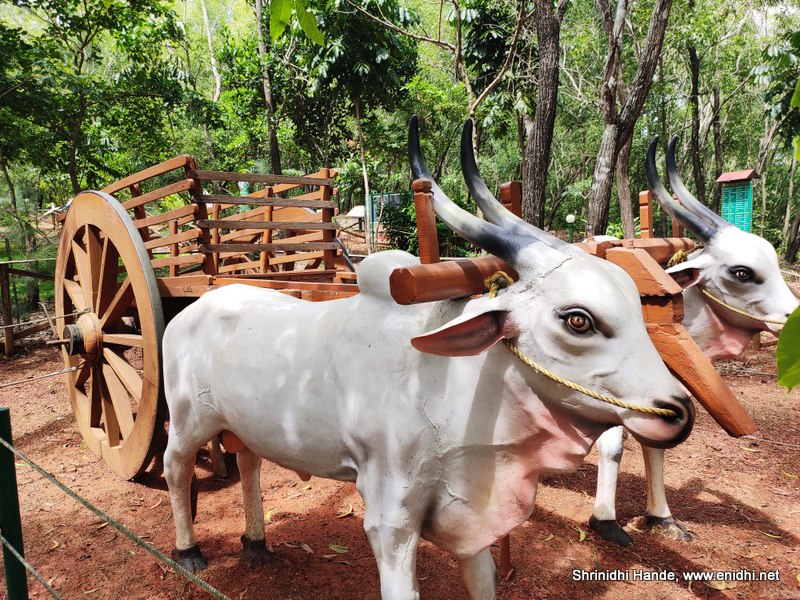 Salumarada Thimmakka Tree Park near Manipal: Photos and complete info ...