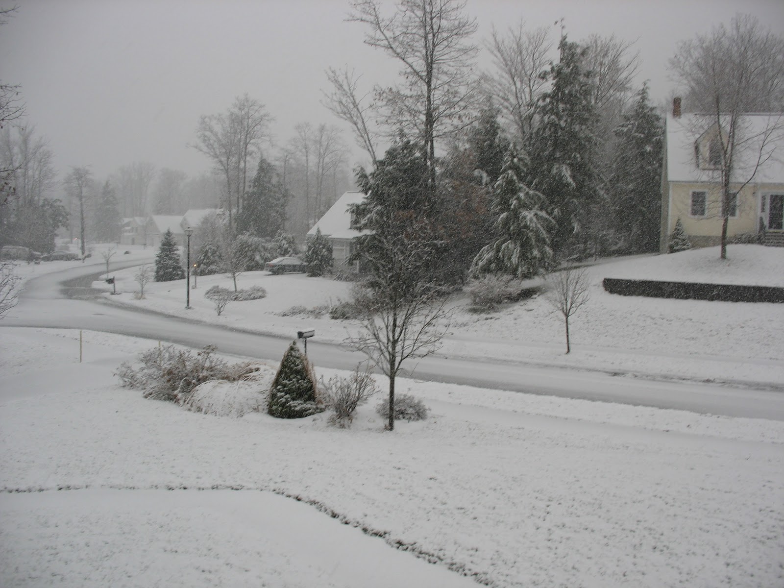 Estelle's: Turkey in the Snow