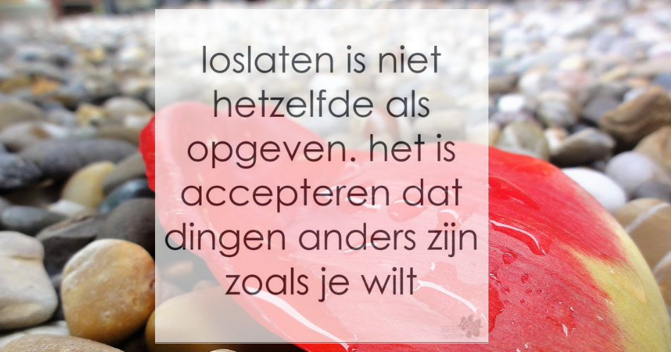 Loslaten en accepteren