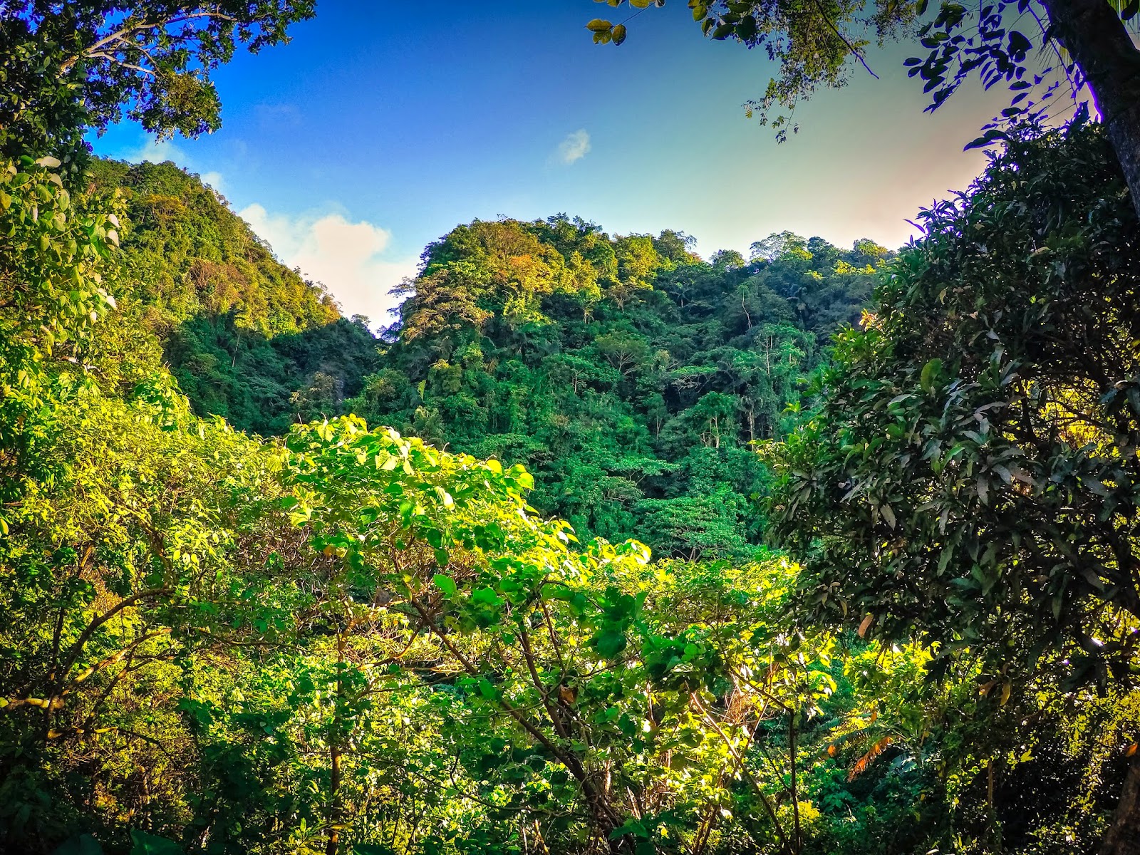 GoPro Pinoy: Mt.Sembrano Forest