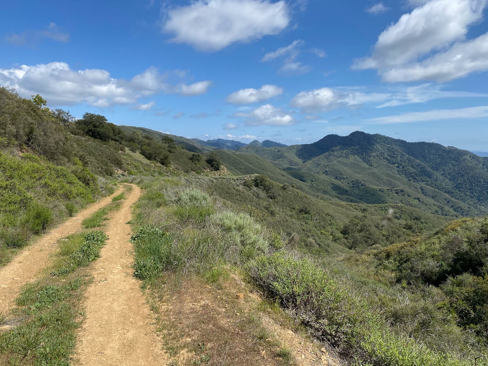Section Hiking The Condor Trail: Cuesta Pass on the 101 to Adobe TH on ...