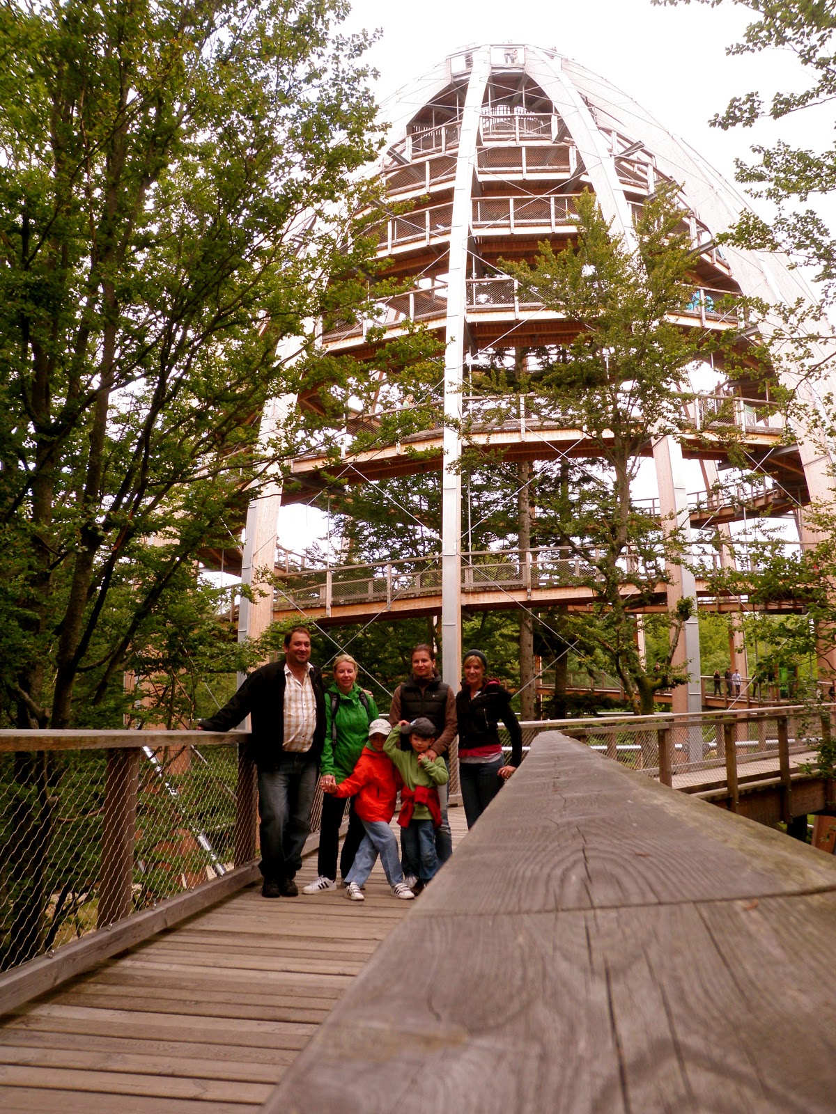 deanna time: TREE TOP WALK