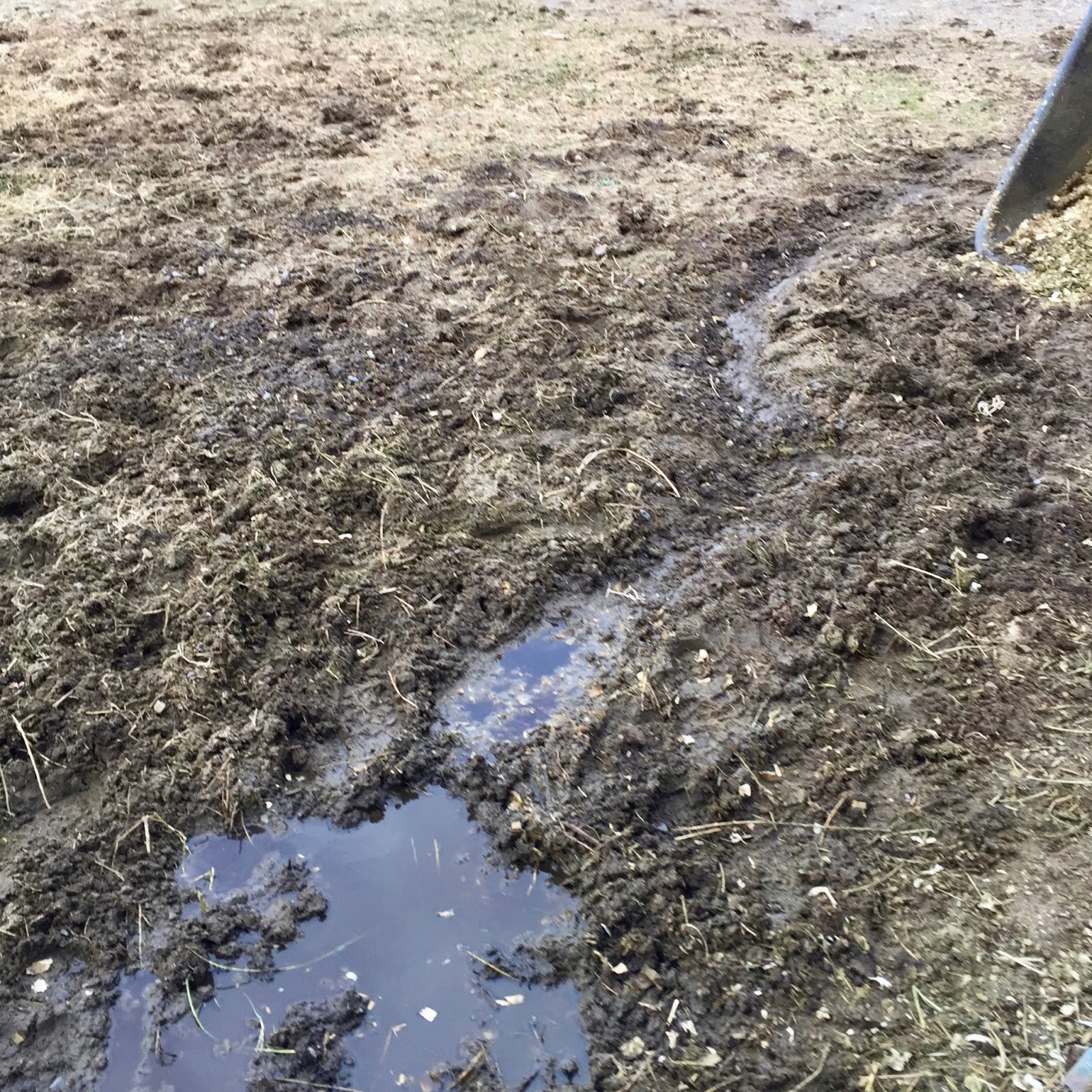Mud and Yuck! - My Welcome Home Farm