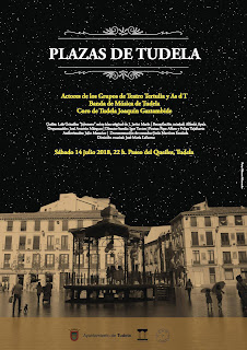 desde mi mejana: Plazas de Tudela