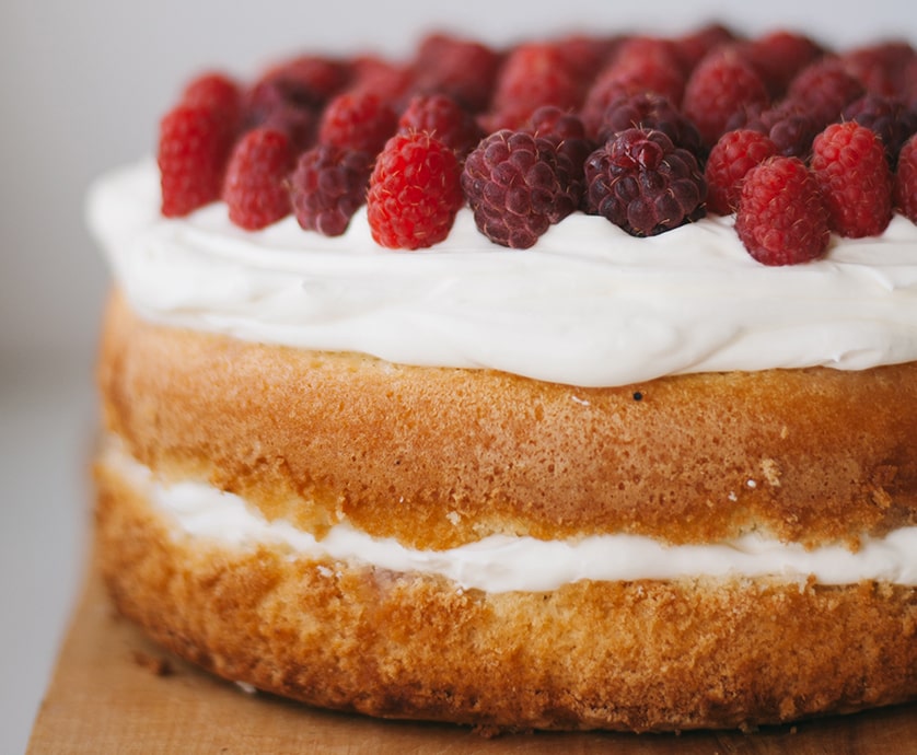 Texture Analysis Professionals Blog: Campden BRI defines cake 'fluffiness'