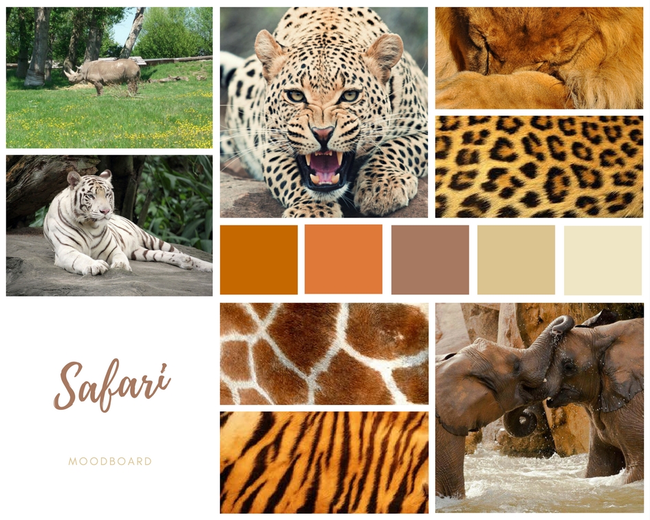 Exercise: Making a Moodboard