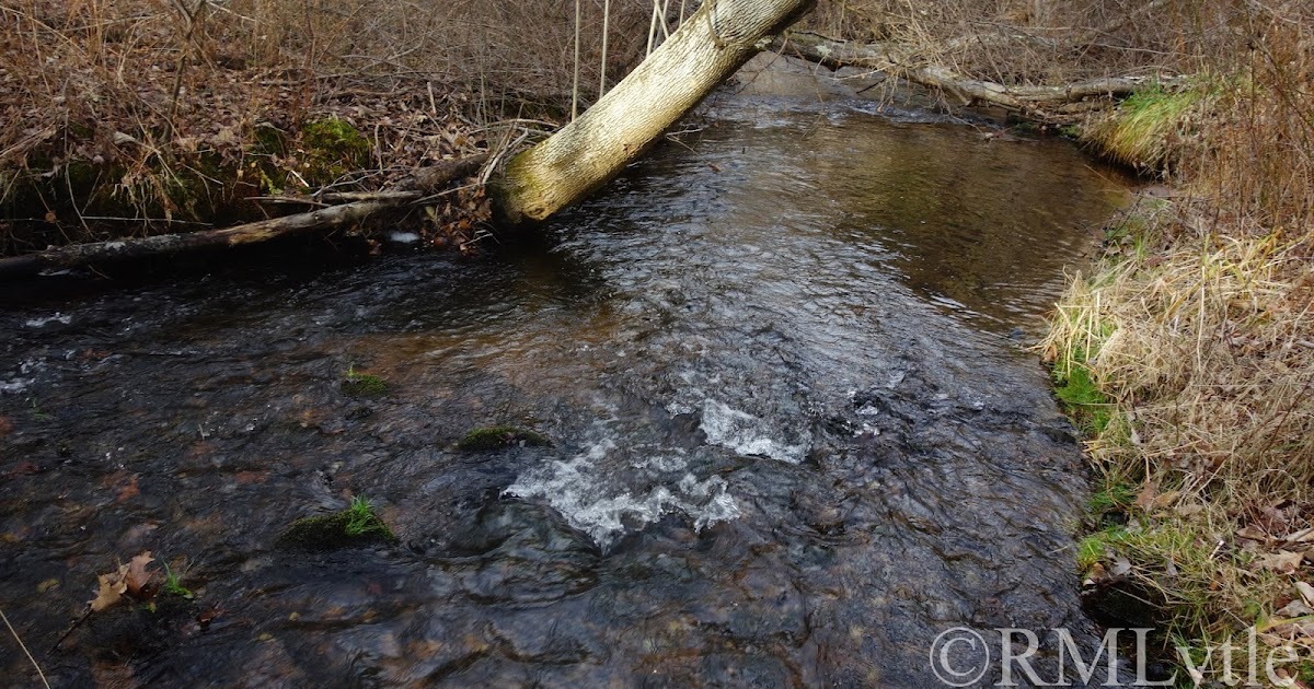 Connecticut Fly Angler: The Ausable Flies Strike Again