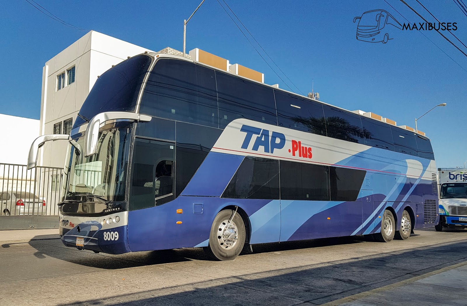 MAXIBUSES: TRANSPORTES Y AUTOBUSES DEL PACÍFICO, PLUS (TAP)