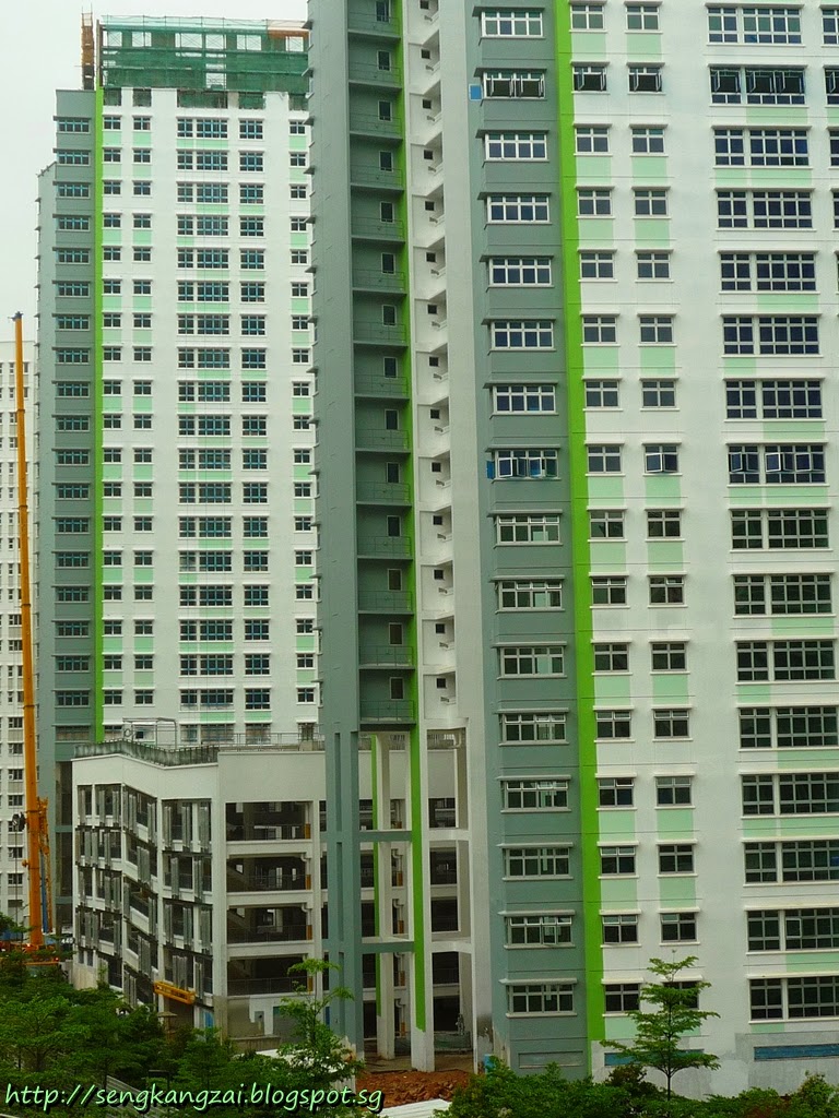 Zai@Sengkang: Fernvale Gardens (Year 2014 Week 15)