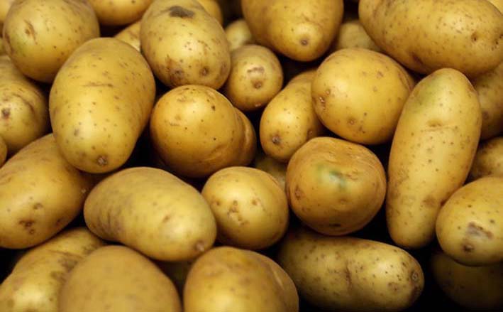 SABER CURIOSIDADES: 15 CURIOSIDADES SOBRE A BATATA, UM DOS ALIMENTOS ... SABER CURIOSIDADES: 15 CURIOSIDADES SOBRE A BATATA, UM DOS ALIMENTOS ...