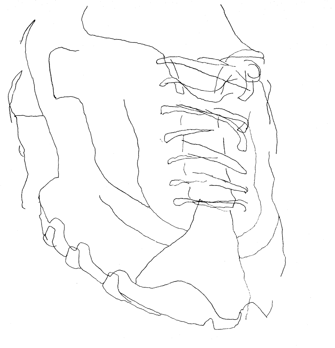 Learning to draw: Learning to see: Contour Drawing