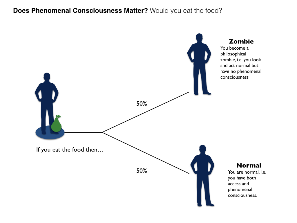 Philosophical Disquisitions: Does Consciousness Matter from an Ethical ...