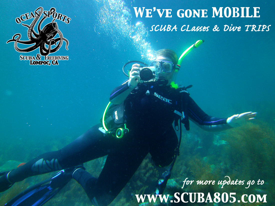 Ocean Sports Scuba & Freediving in Lompoc,CA. Full Service Dive Shop w ...