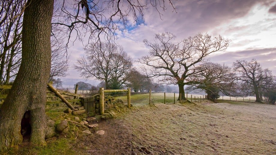 Andrew Fowler Photography: Landscape Photography: Hoar Frost on Haw ...