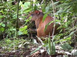 TURISMO PEDRO VICENTE MALDONADO