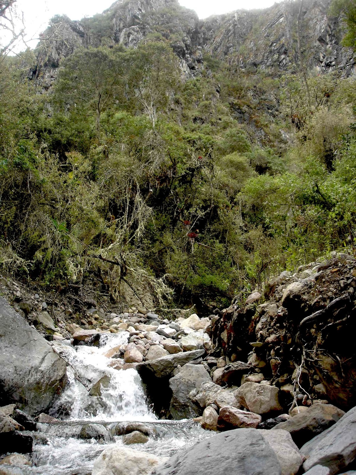 Viaje al Peru : Natural Sanctuary: La Veronica