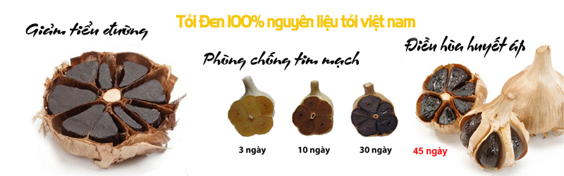 Tỏi đen là gì và các loại sản phẩm từ tỏi đen - Dịch Vụ SEO tỏi đen cô ...