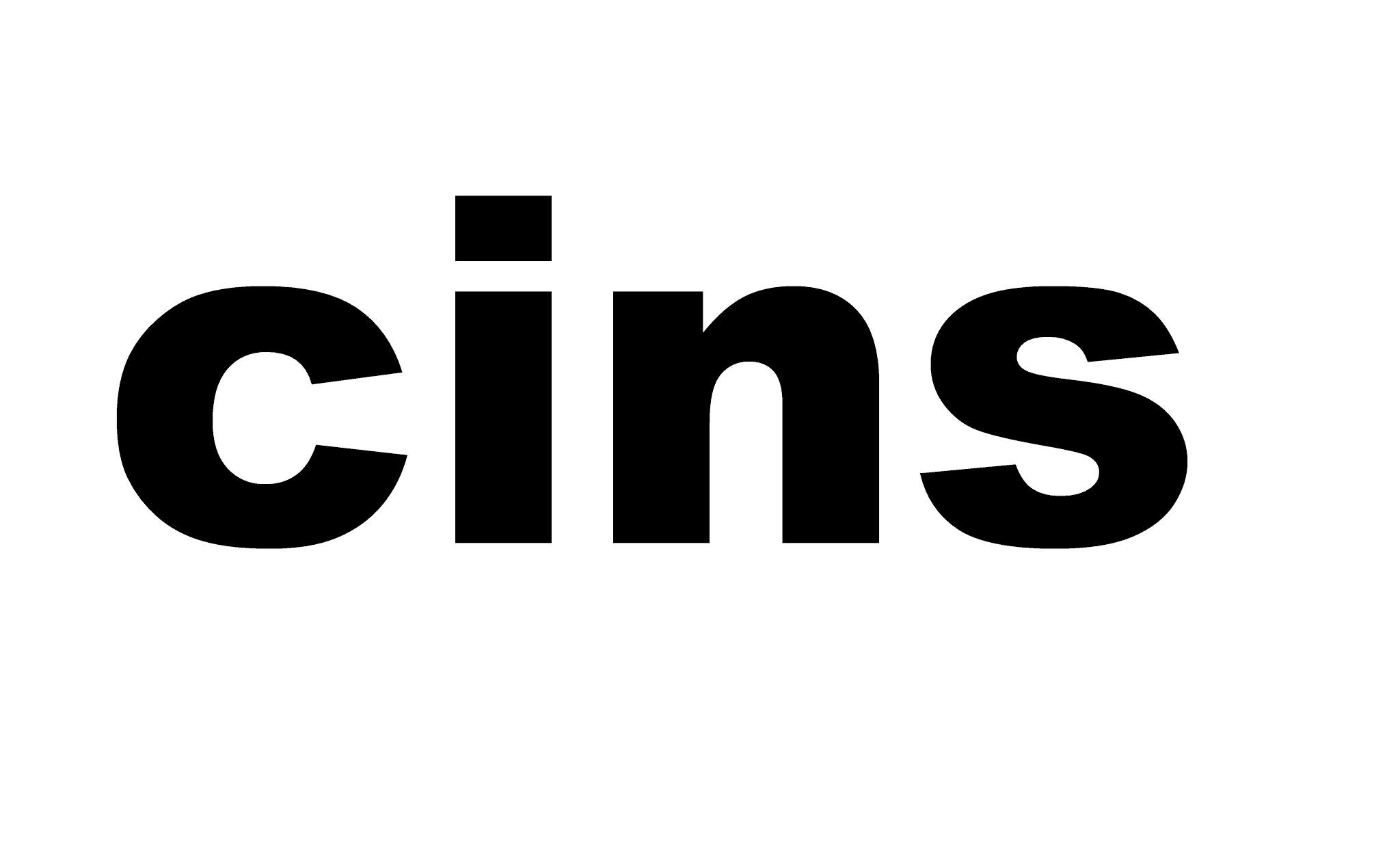 cins - BilginCin
