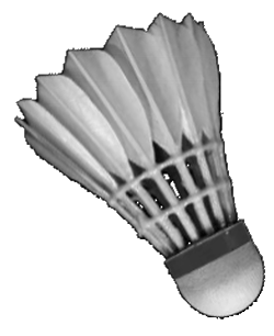 Shuttlecocks