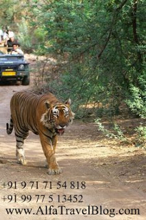 AeroSoft Corp: SMM Worksheet Day 0019 SMM