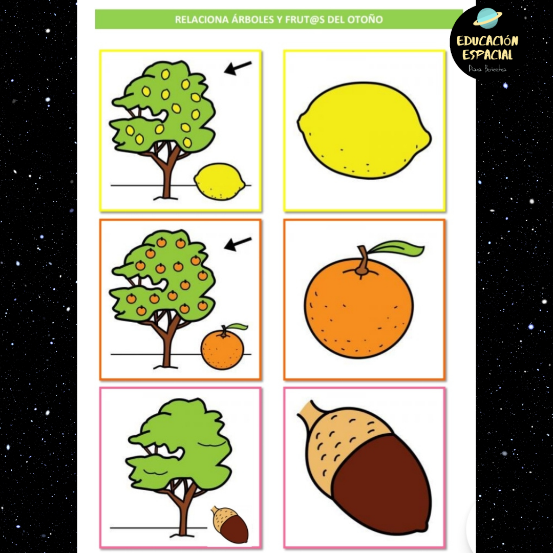 Material teacch del otoño: Relacionamos árboles y frut@s