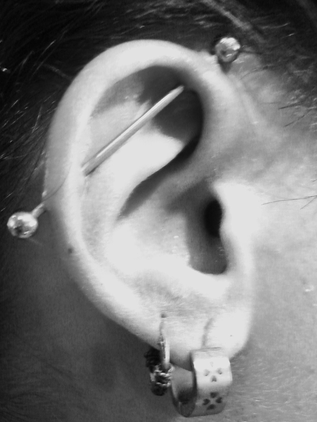 PIERCING: Galería Piercing