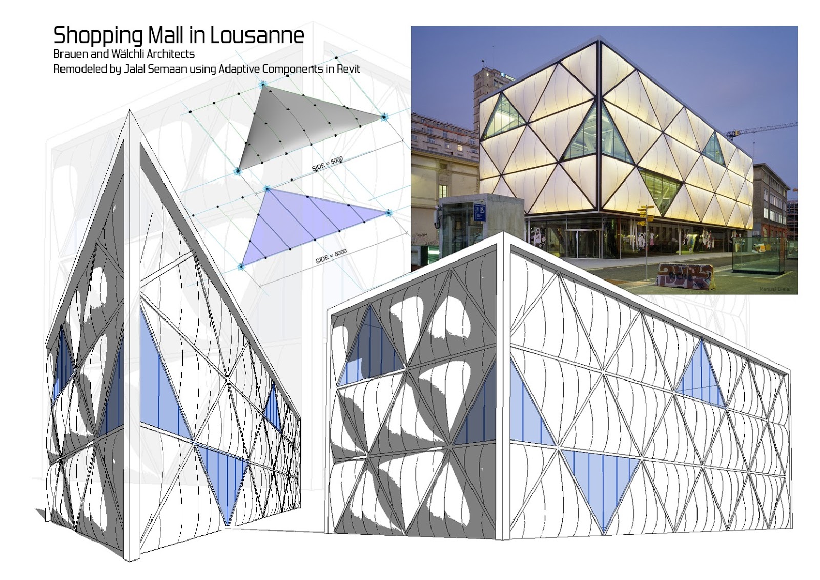 ETFE Design in Revit