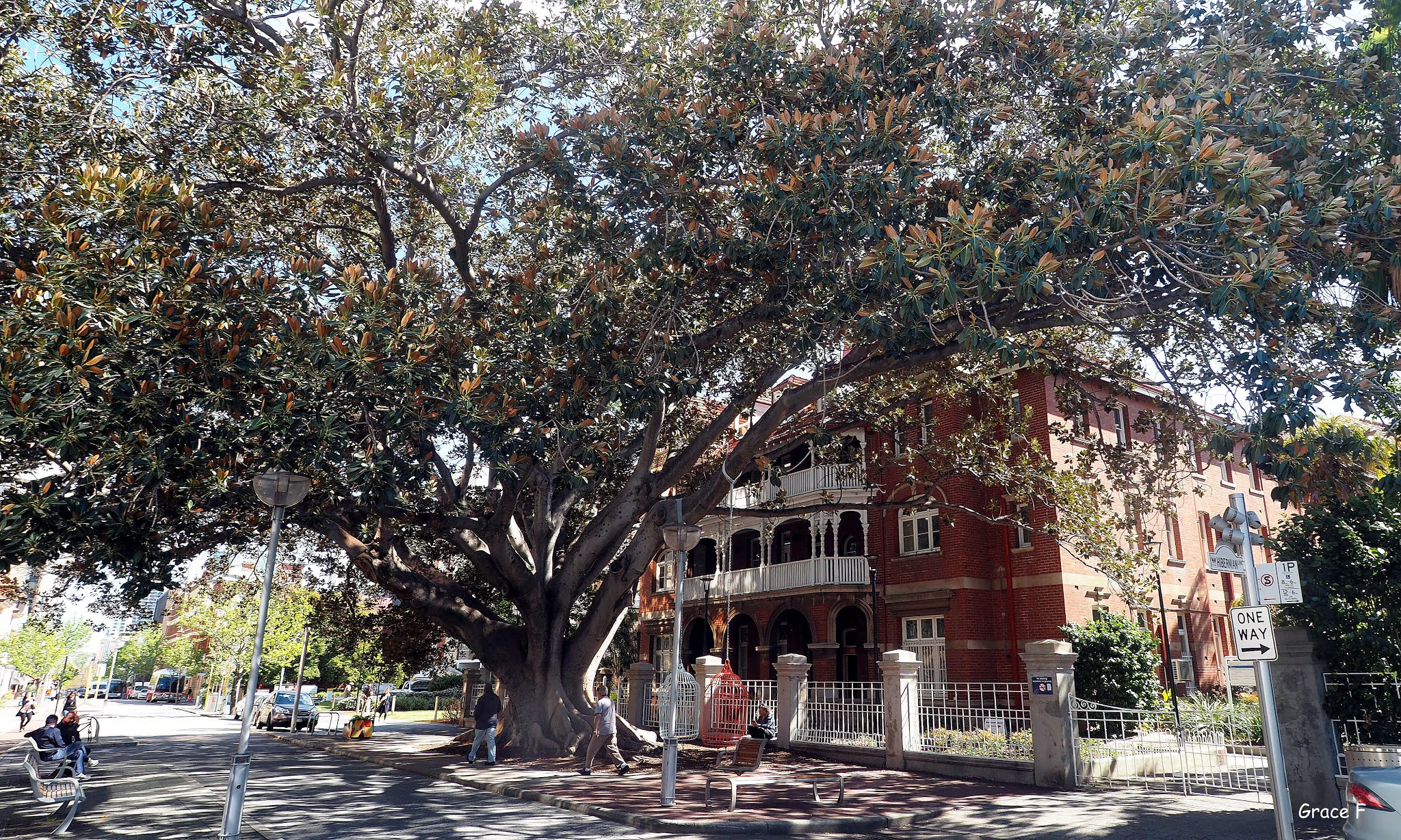 Perth Daily Photo : Historic Heart of Perth..