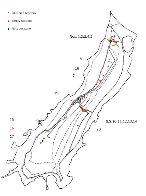 Middleton Island, Gulf of Alaska