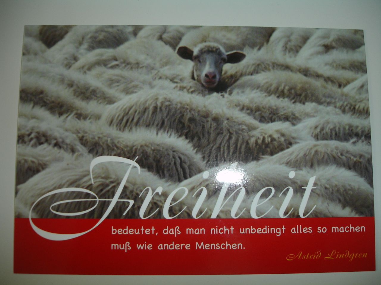 EinGemachtes: Cooler Spruch mit Herz