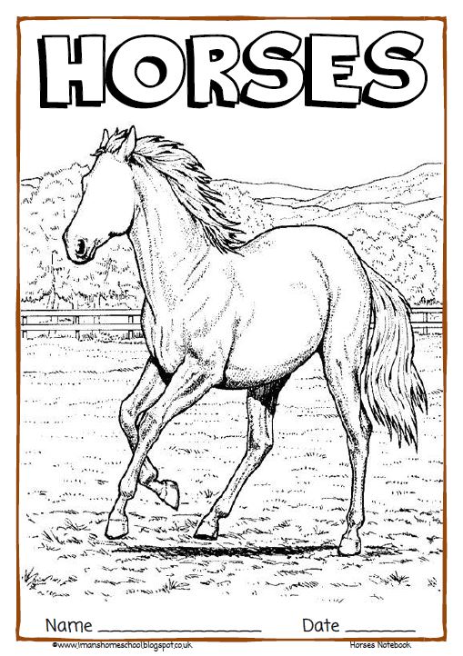 Iman's Home-School: Horses Notebook & Activity Pack