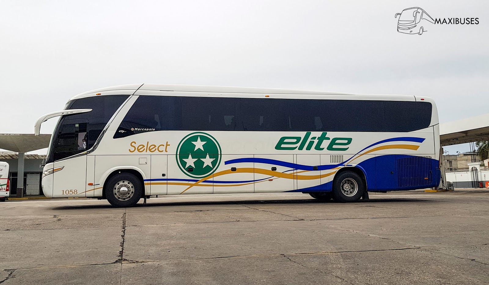 MAXIBUSES: ELITE SELECT