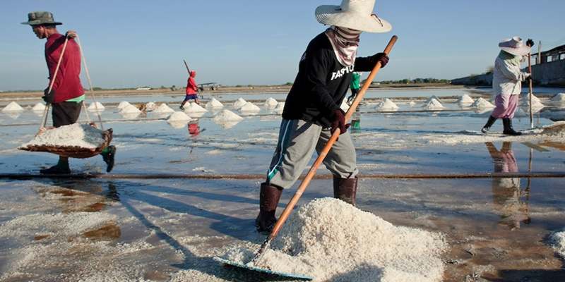 Proses Pembuatan Garam