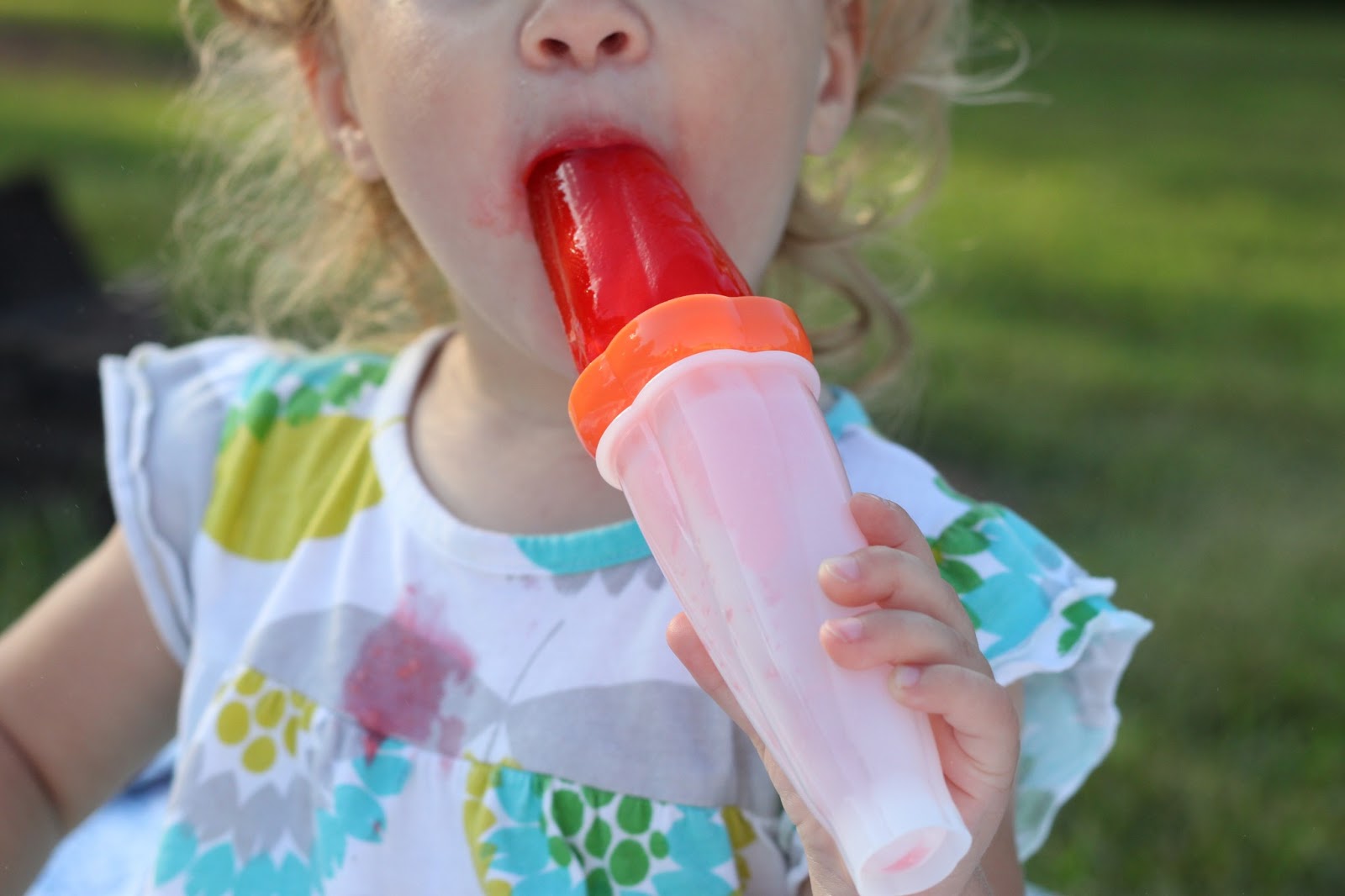 Homemade Popsicles / Handmade Frenzy