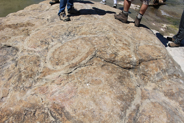 Finding Fossils...: Fossil Reefs around Austin